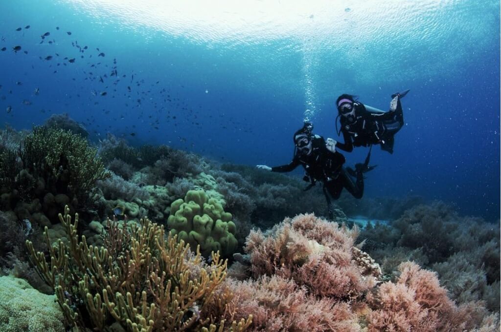 7 MOST EXCITING THINGS TO DO IN BALI - The Asia Collective