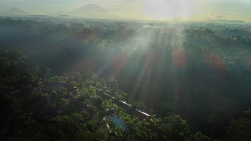 THE BEST HOTELS IN UBUD - by The Asia Collective