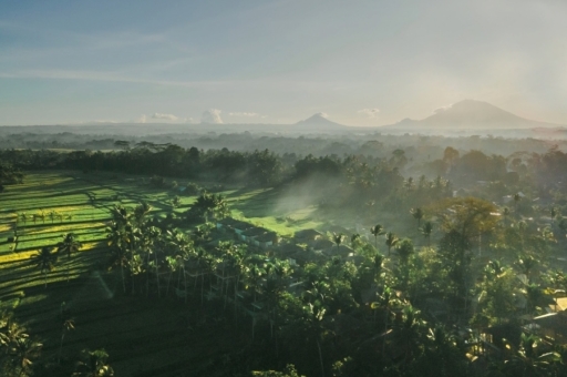 THE BEST HOTELS IN UBUD 2025 - by The Asia Collective